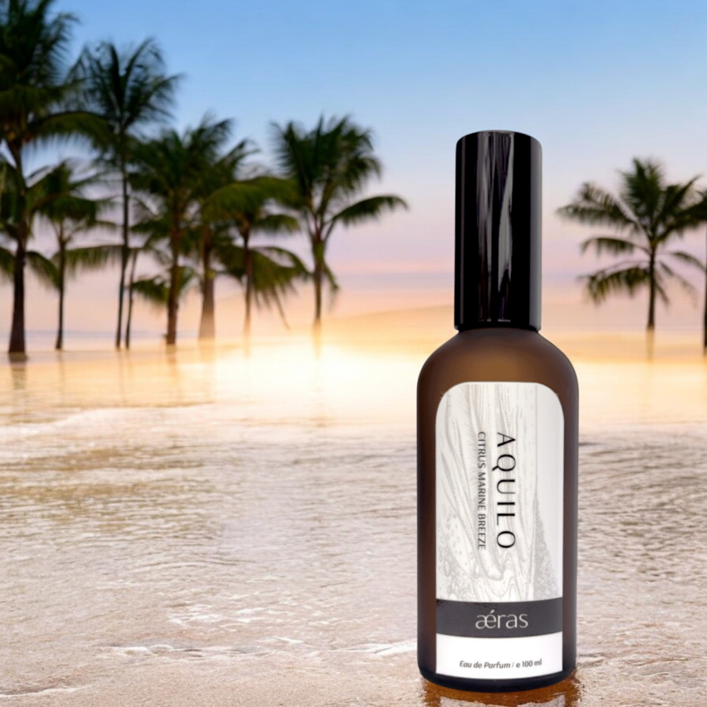 Aquilo Eau de Parfum by aéras (Aqua di Gio inspired scent) : perfume ...