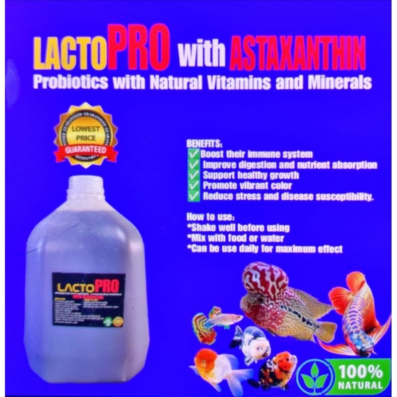 LactoPRO Probiotics with Natural Vitamins and Minerals + Astaxanthin 1 ...