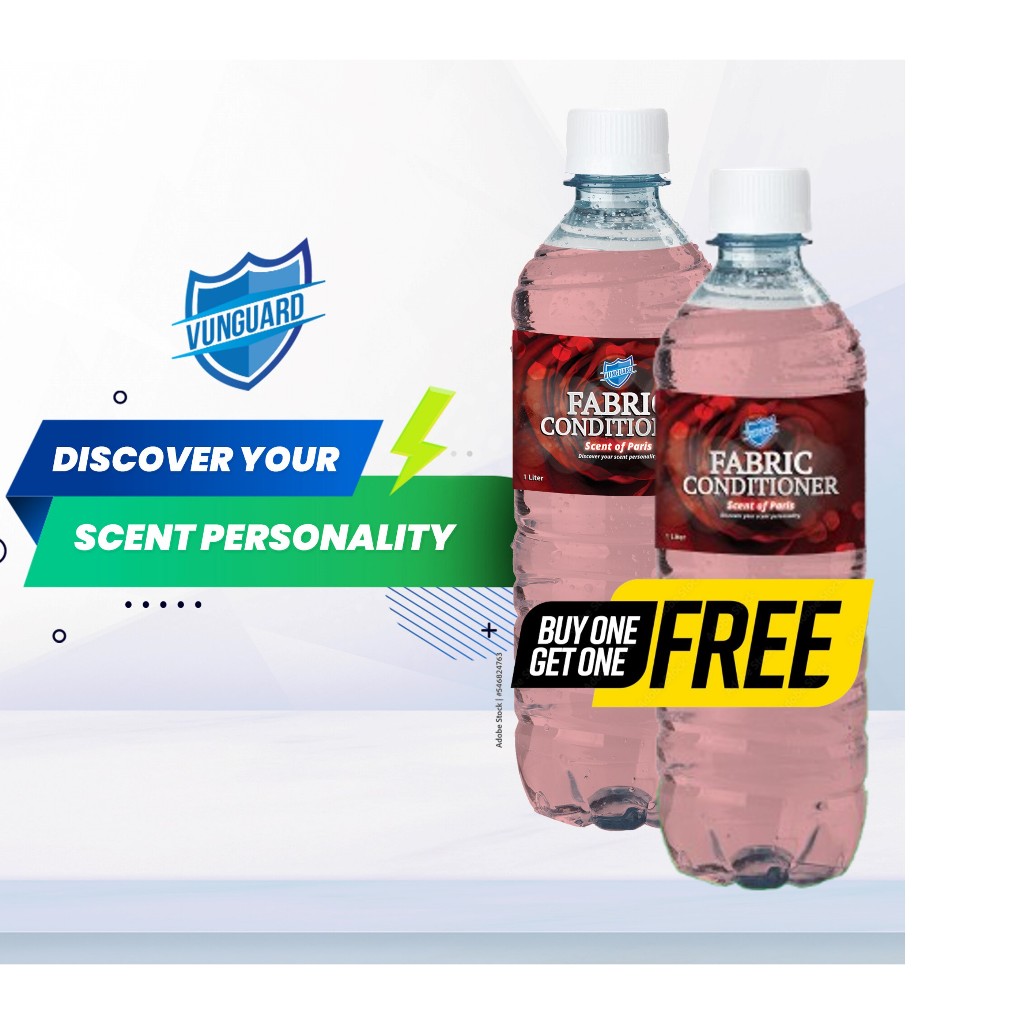 BUY 1 TAKE 1 VUNGUARD FABRIC SOFTENER AND CONDITIONER SCENT OF PARIS 1 ...