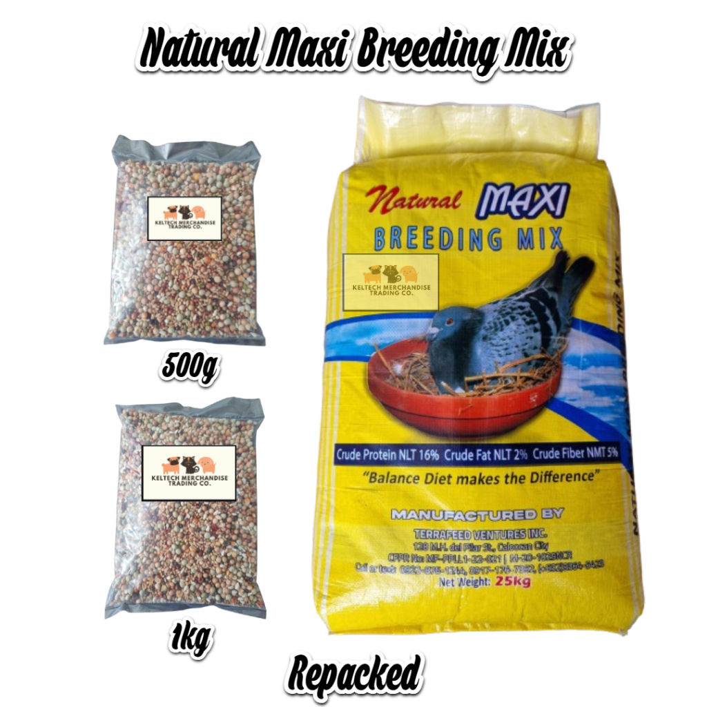 Natural Maxi Breeding Mix Pigeon Food Bird Feeds Repacked 500g/1kg ...