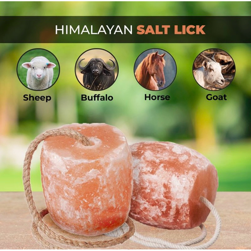 Himalayan Licking Salt 1-2KGS Mineral Block Booster for Cattle, Sheep ...