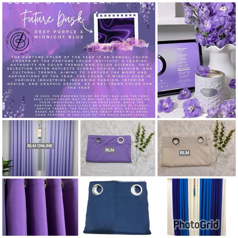 Future Dusk Color of the Year 2025 Purple/Violet height sold per piece ...