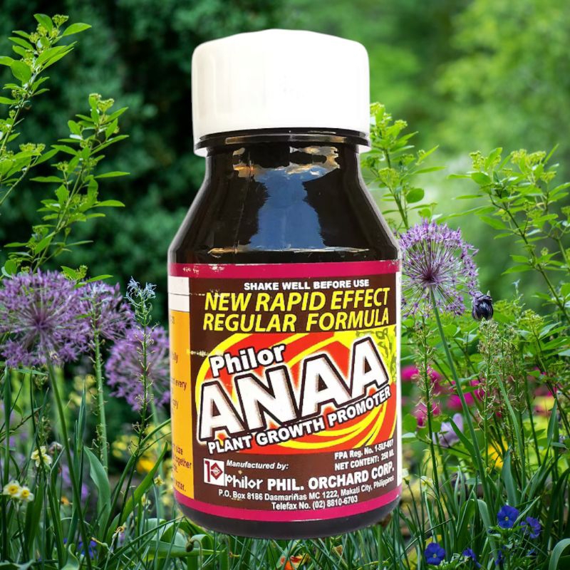 ANAA PLANT GROWER PROMOTER 250ML BY PHILOR | Shopee Philippines