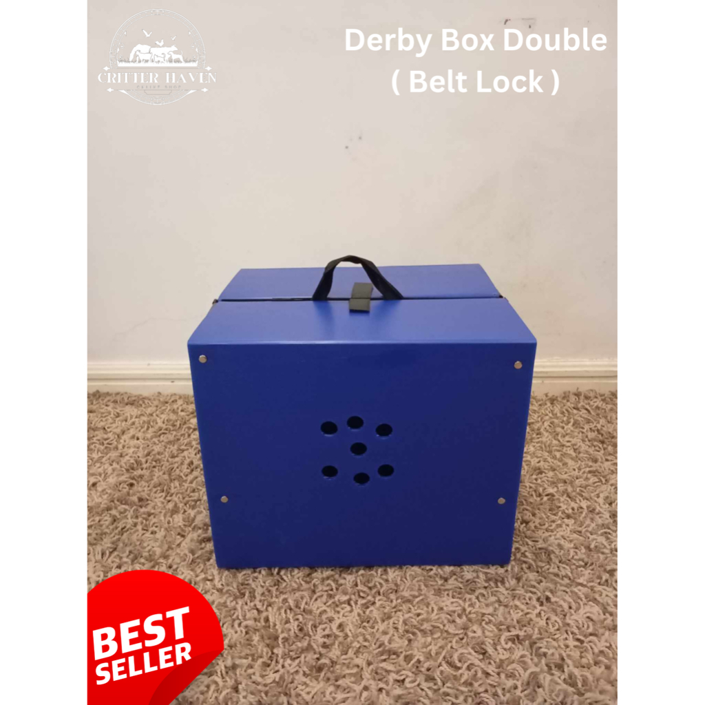 Double Derby chicken box ( Belt Lock) / kulungan ng manok / game fowl ...