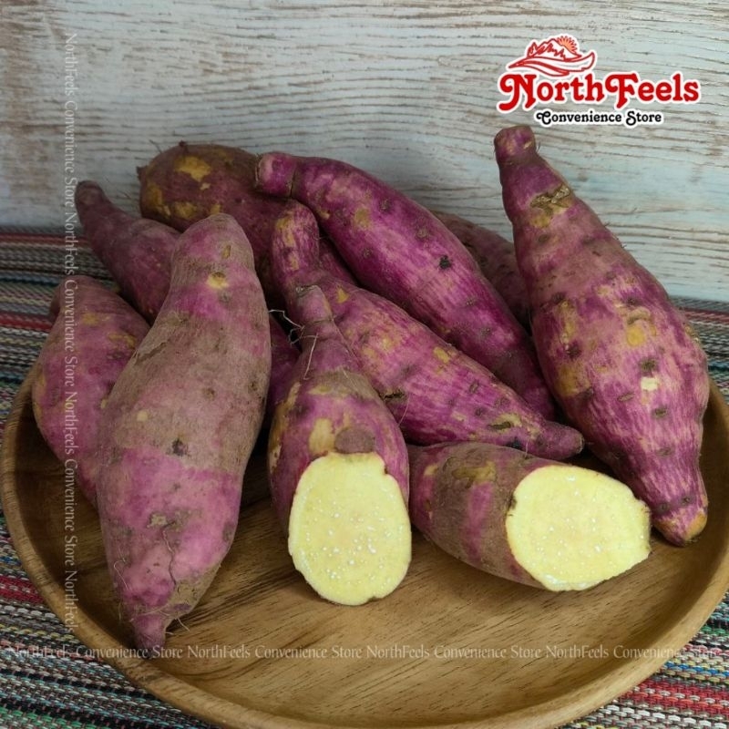 Bintong Kamote - Yellow Orange | Benguet Organic Harvest | Per Kilo ...