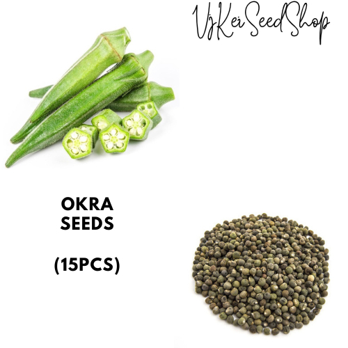 Smooth Okra Seeds (15pcs) | Shopee Philippines