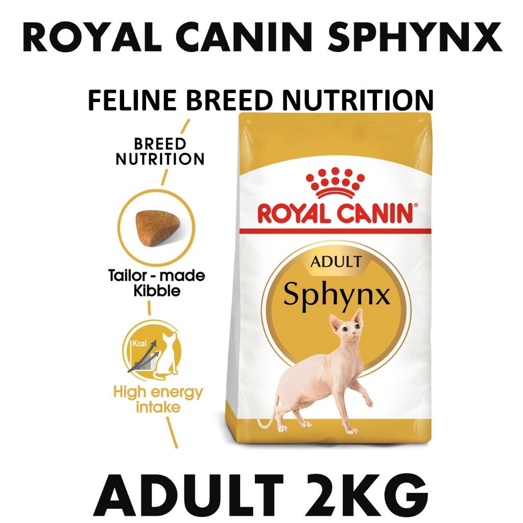 Pet Kingdom Royal Canin Sphynx Adult (2kg) Dry Cat Food - Feline Breed ...