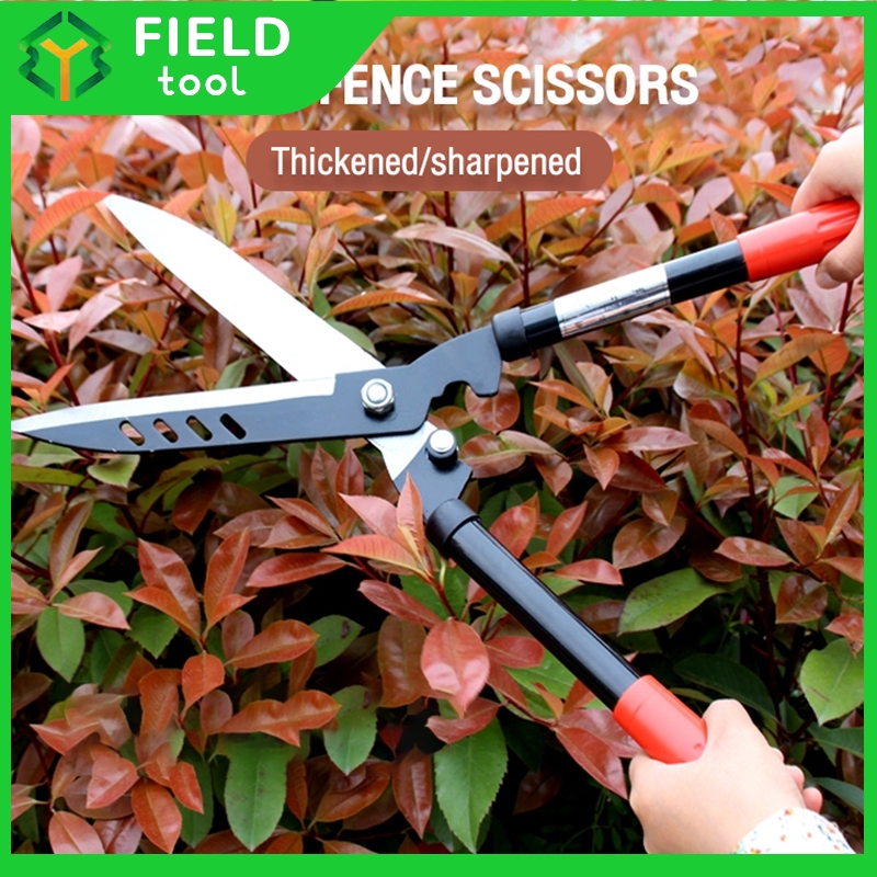 Gardening scissors, lawn shears, telescopic long-handled, high-branched ...