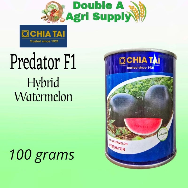 Predator F1 Hybid Watermelon 100 grams - Chia Tai Seeds | Shopee ...