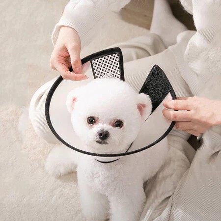 Pet Elizabeth Cone E-Collar for dog cats Pet Head Cover Bite Anti Cone ...