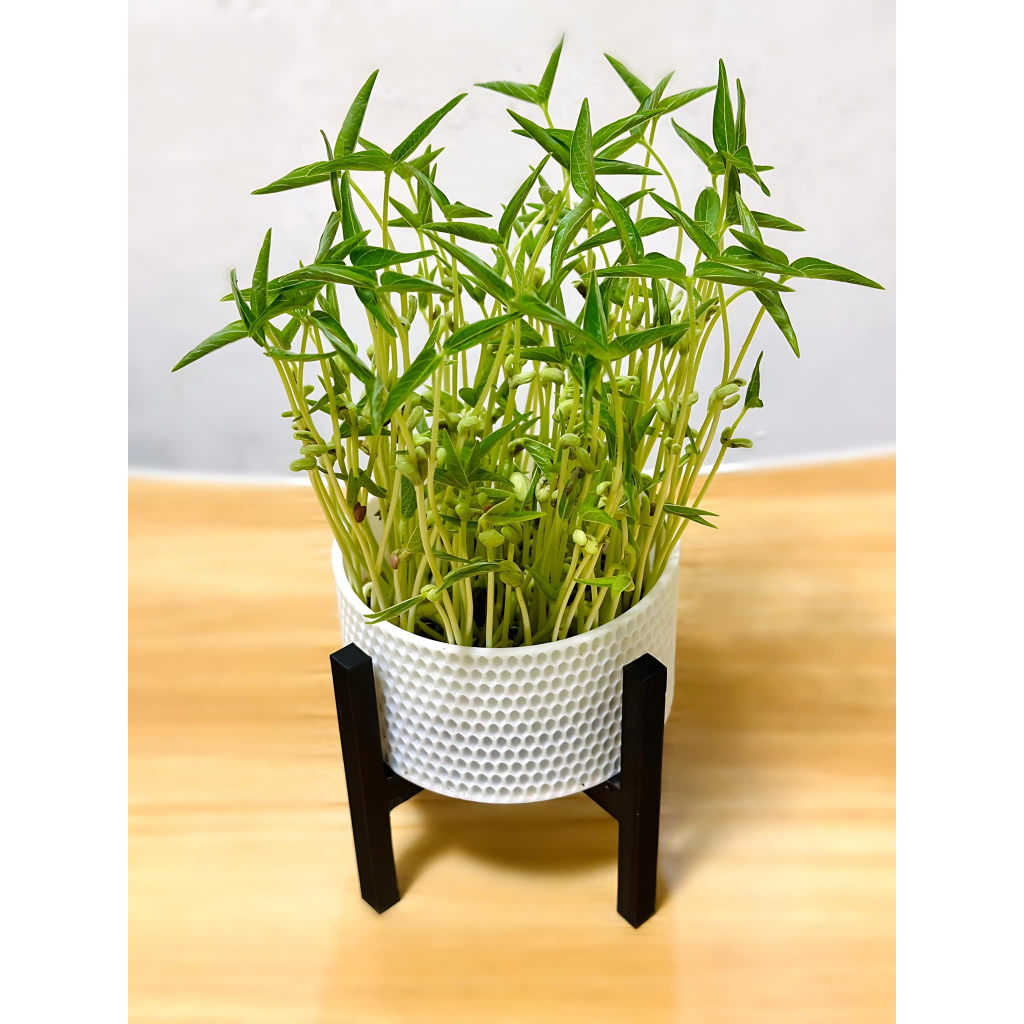 Succulent Textured Pots with Stand NOW in BIGGER POTS -3D Printed ...
