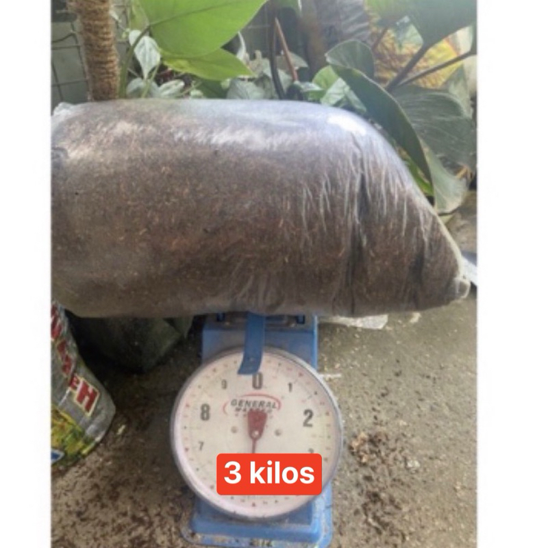 composted rice hull bulok na ipa 3 kilos | Shopee Philippines
