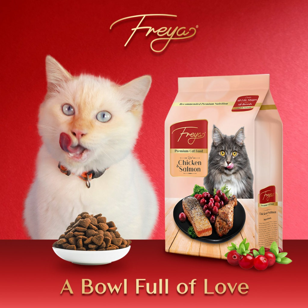 Freya Dry Cat Food for All Stage 1Kg REPACKED | Shopee Philippines