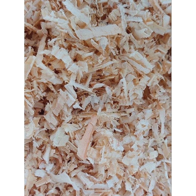 KUSOT PALOCHINA 200GRAMS (Bistay) | Shopee Philippines