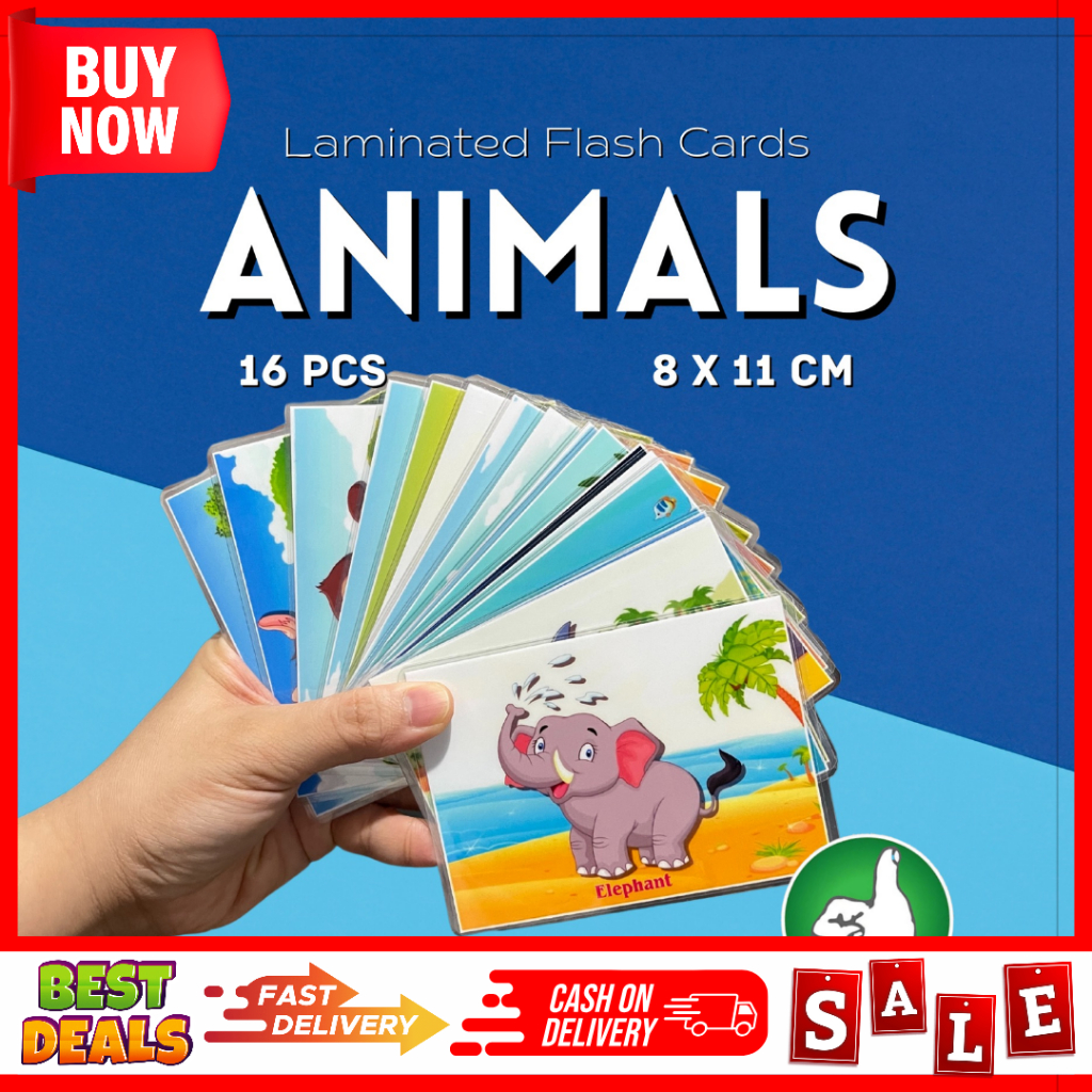 Animals Flash Card Laminated 8x11cm | Shopee Philippines