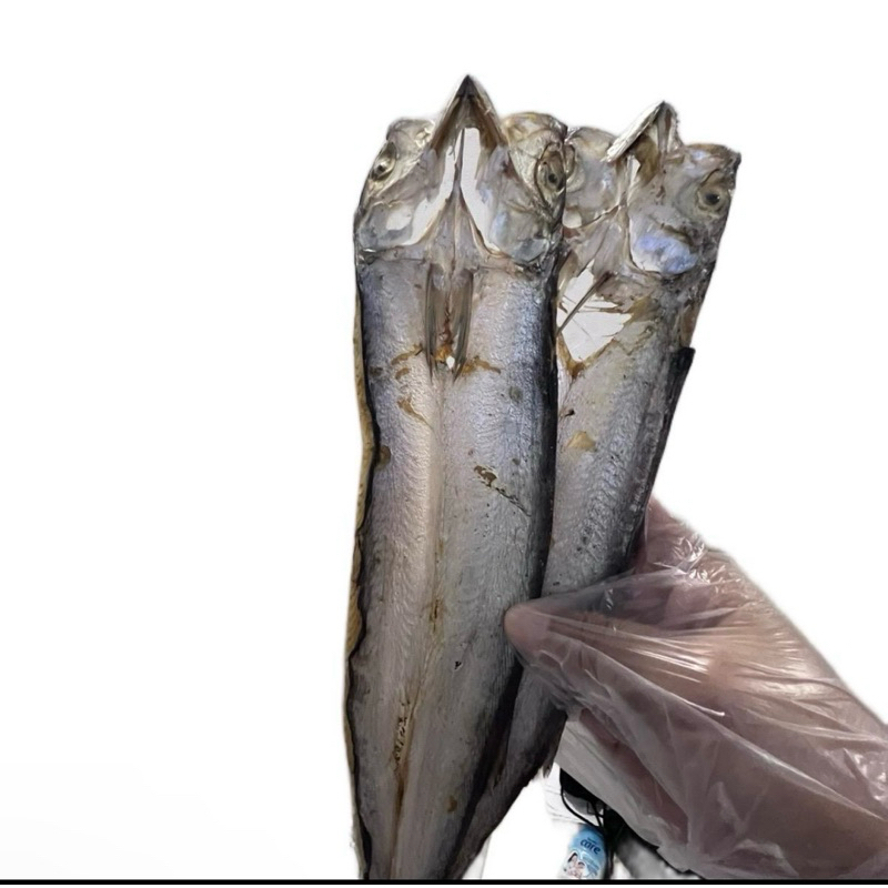 Barira Dried Fish from Bicol 100grams Dry Seafood | Shopee Philippines