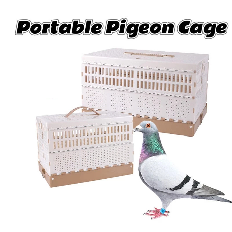 Plastic Folding Pigeon Cage Training Box for Pigeon Loft Portable Cage ...