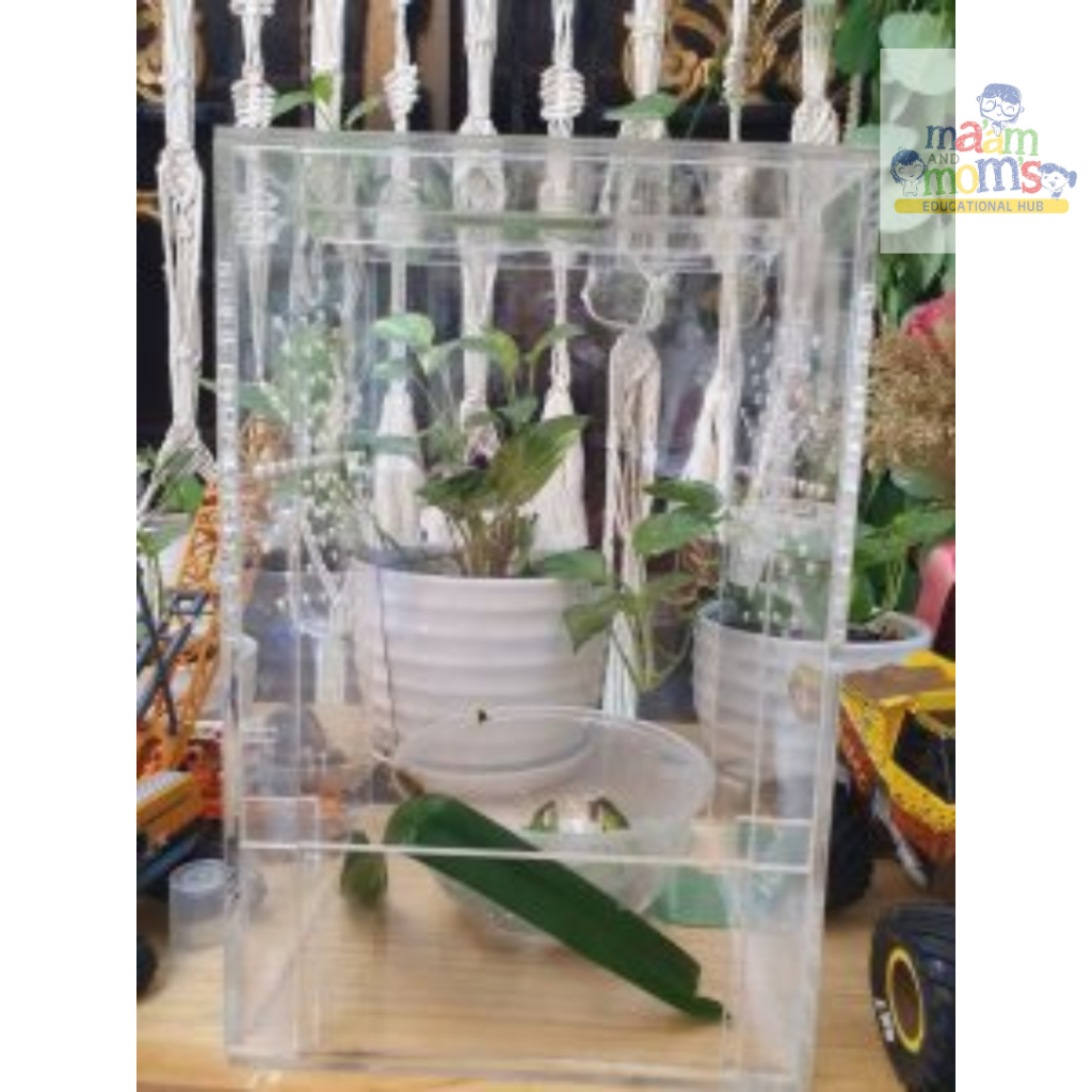 Acrylic Nature Observation Box | Shopee Philippines