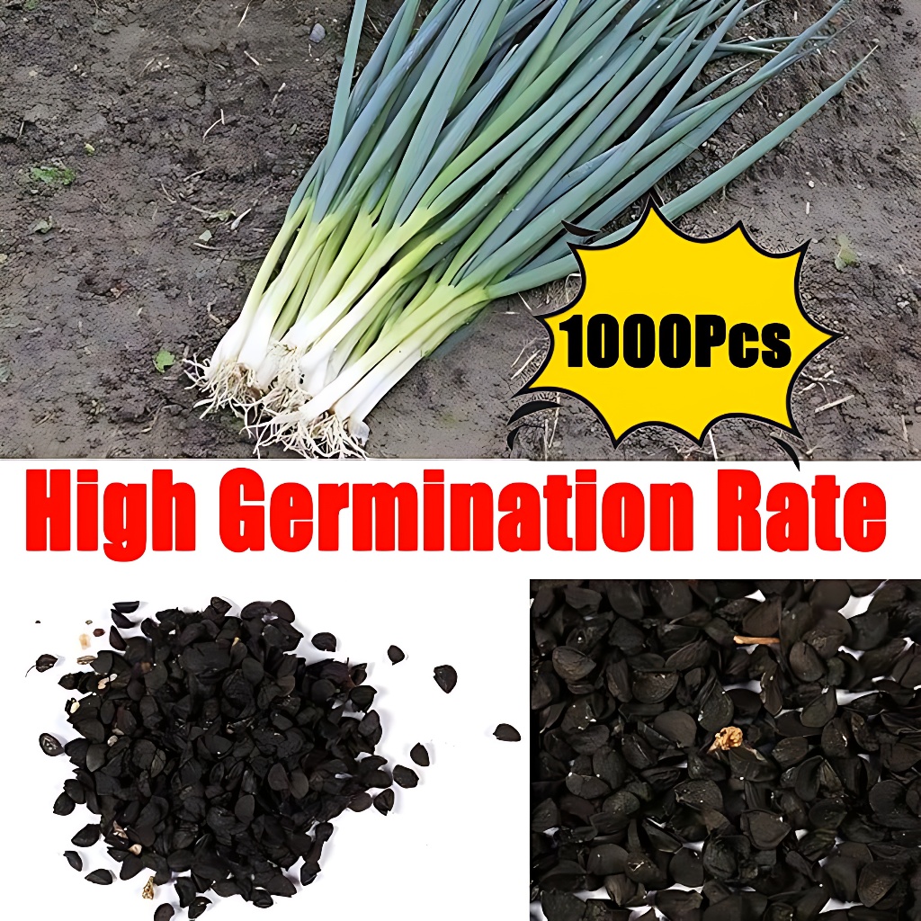 Spring Onion Seeds Bunching Onion Seeds Vegetable Seeds | Shopee ...