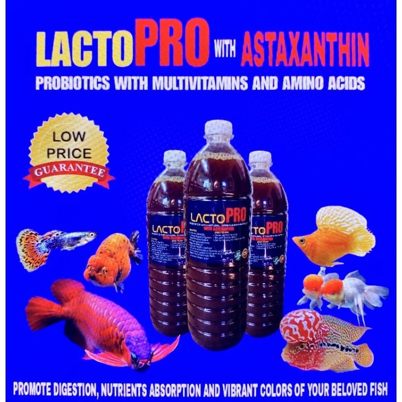 LactoPRO Probiotics with Natural Vitamins and Minerals + Astaxanthin ...