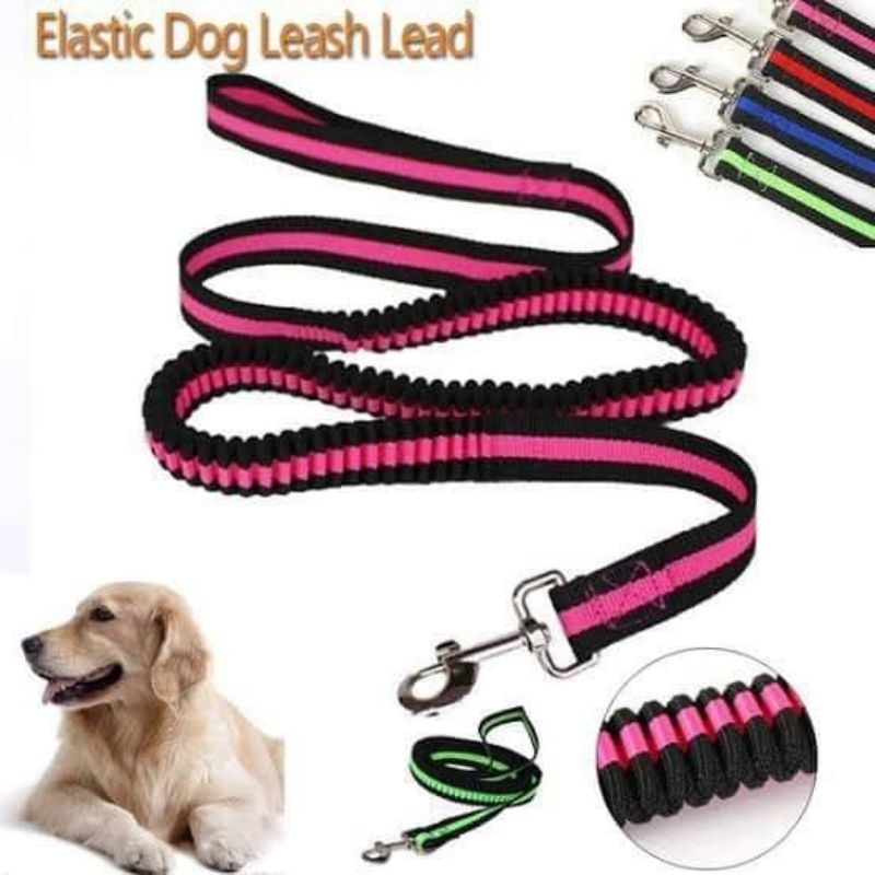 Elastic Dog Leash Stretchable leash | Shopee Philippines