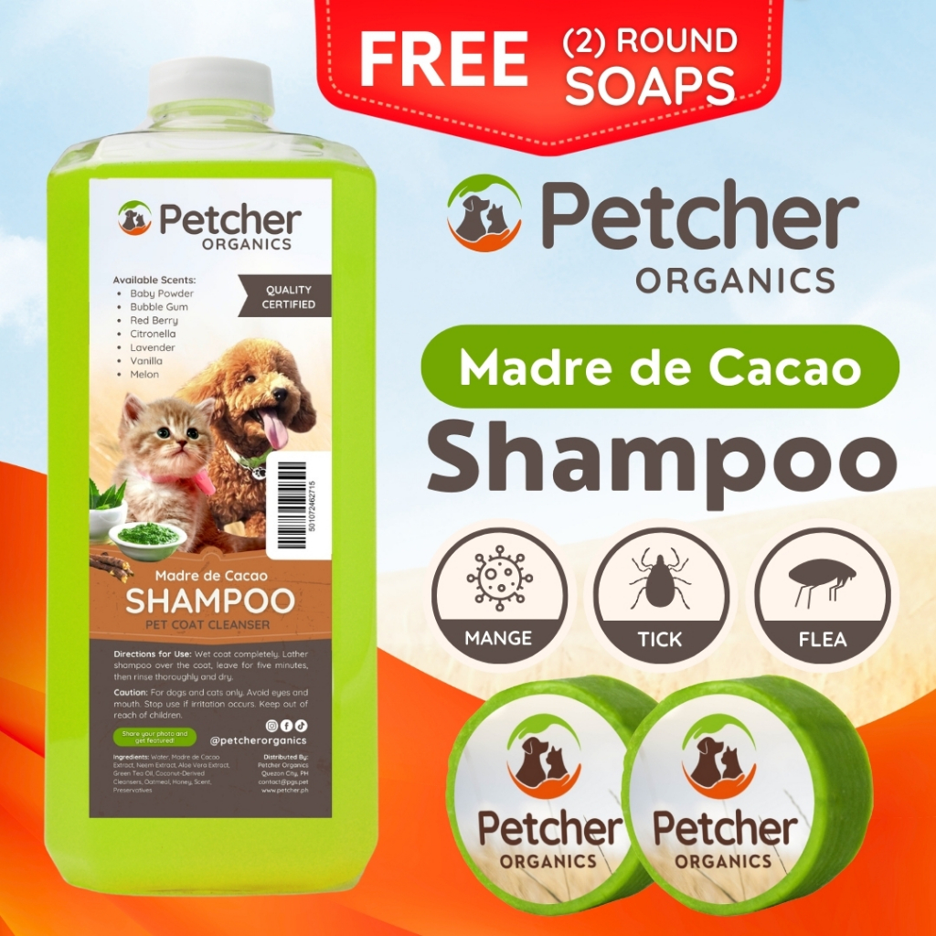 Petcher Madre De Cacao Pet Shampoo 1 Liter Citronella Scent with Free ...
