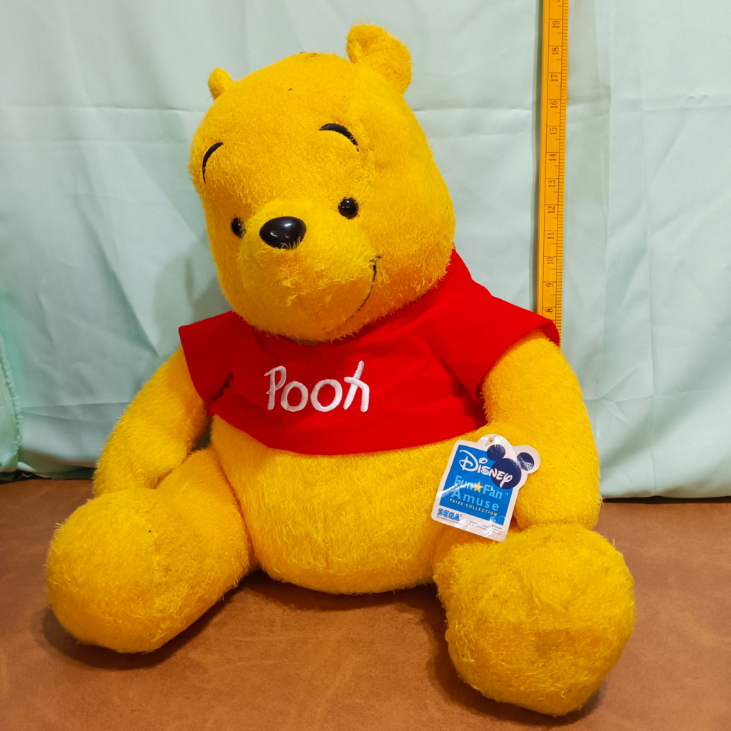 Disney Pooh huggable Big Plush (19in/48cm) | Shopee Philippines
