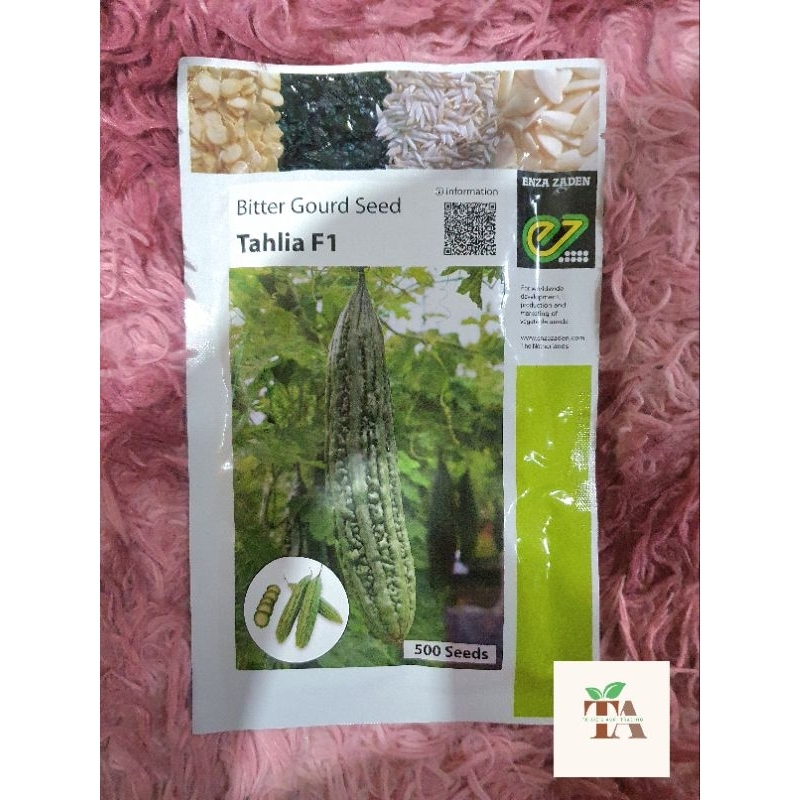 Tahlia F1 Bitter Gourd Seed ~ Ampalaya seed 500 seeds ~ Enza Zaden ...