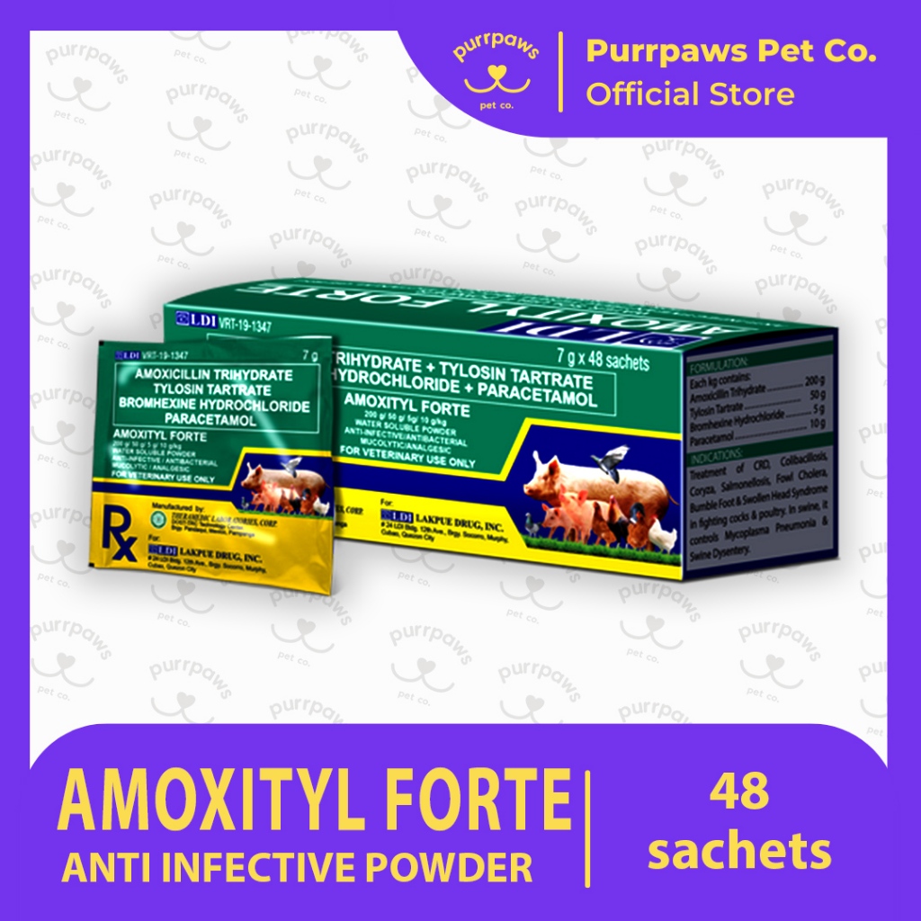 AMOXITYL FORTE 7grams x 48sachets/box | Shopee Philippines