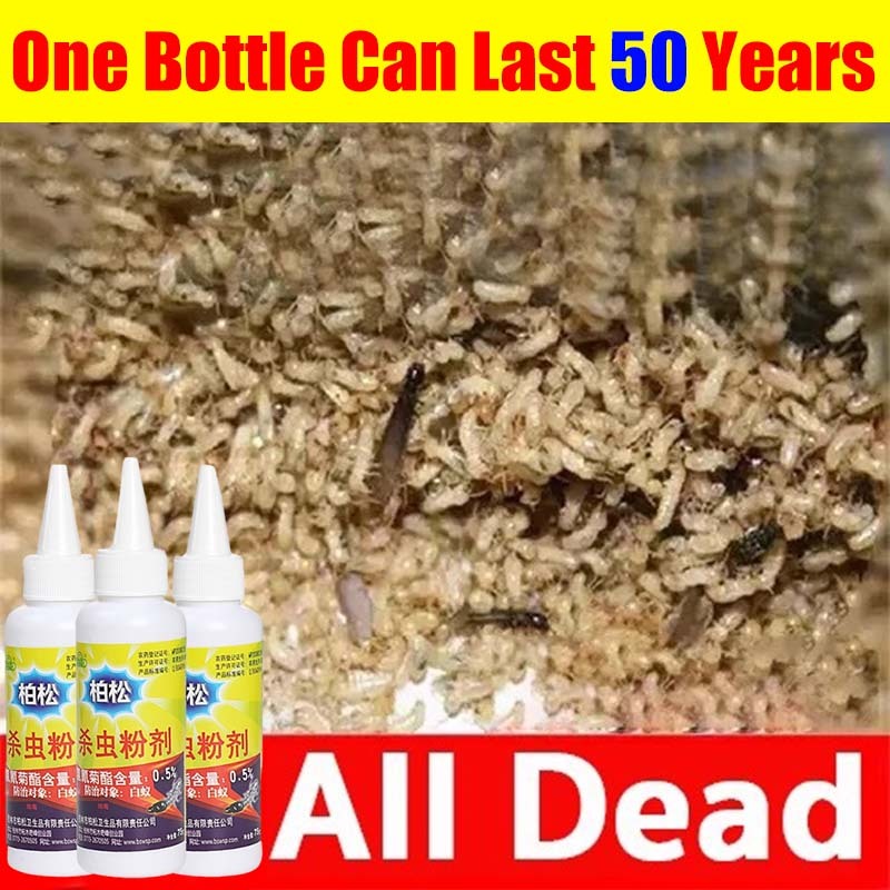 Queen ants die infect each other Termite Killer termite anay killer ...