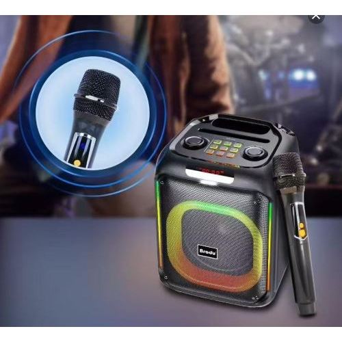 BTS 2106 Subwoofer Brodu BLUETOOTH Karaoke Speaker with free Wireless ...