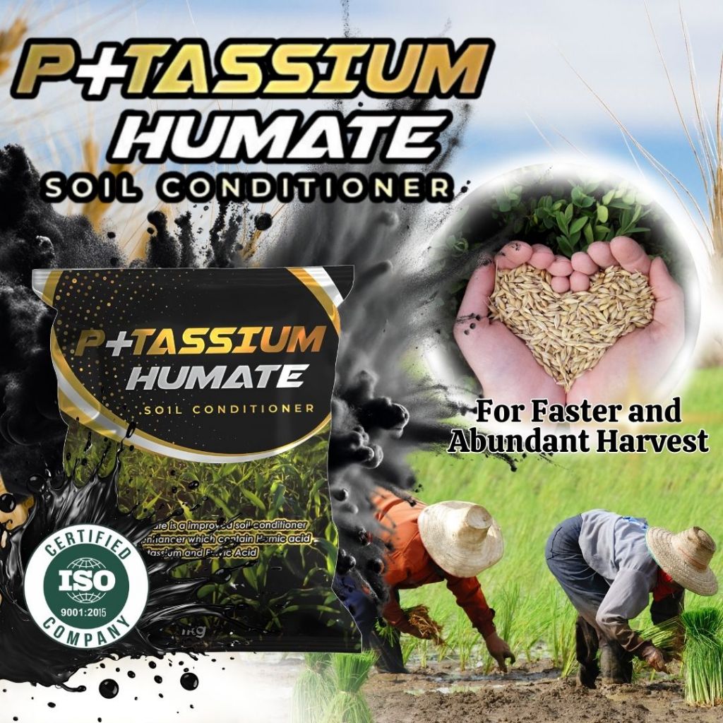 Potassium Humate Premium Organic Soil Conditioner Fertilizer Enhancer ...