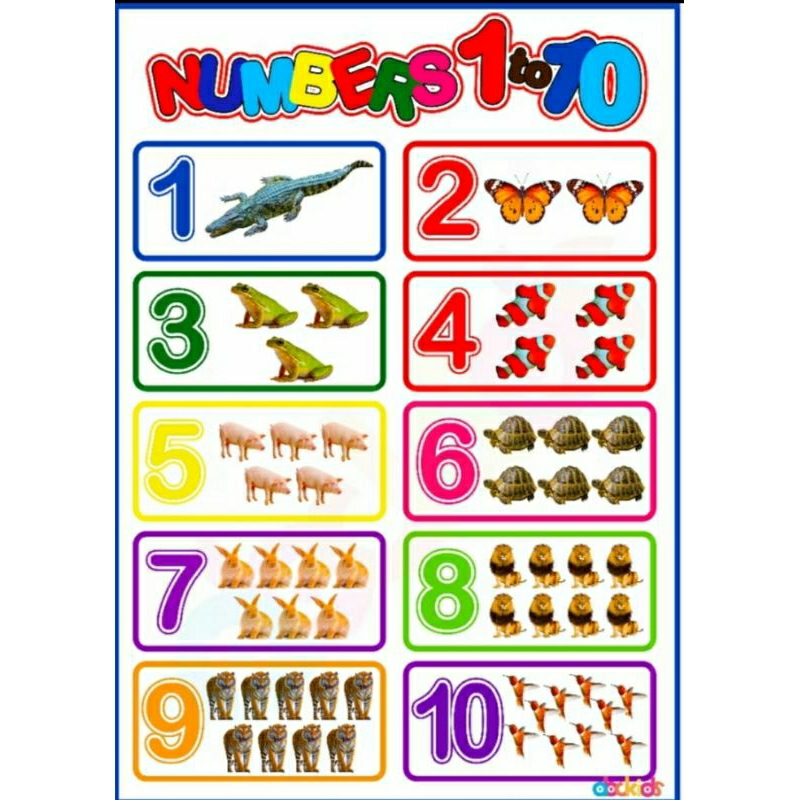 Laminated Educational Charts | Shopee Philippines