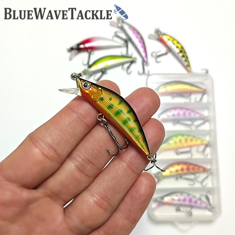 Fishing bait Minnow 50mm/5g Fishing Lure SwimBait Fishing Gear Sinking Minnow | Shopee Philippines