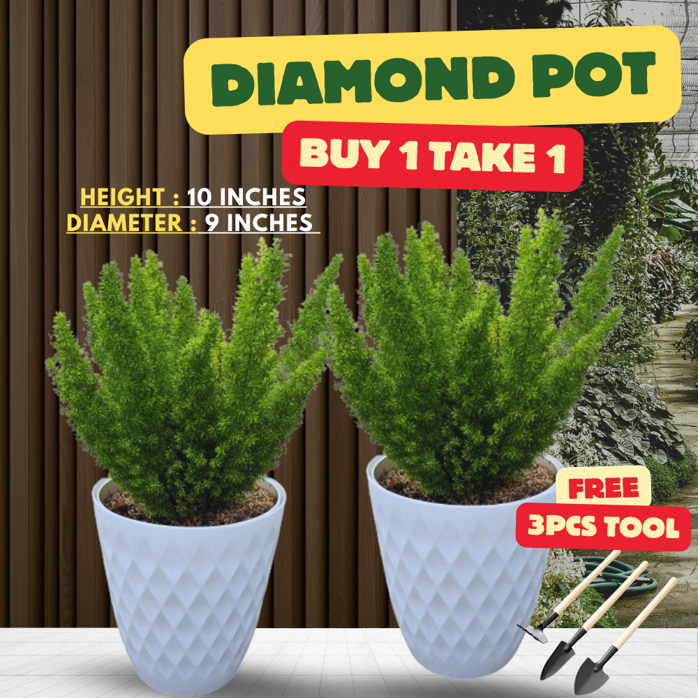 Buy 1 Take 1 Diamond Pot (10” x 9”) with Free 3-Piece Gardening Tool ...
