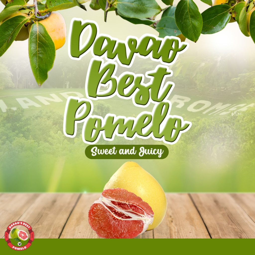 Davao Pomelo/Sweet Juicy Pomelo/Suha/Boongon | Shopee Philippines