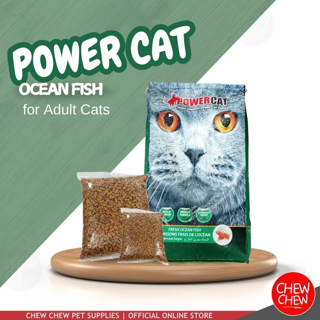 POWERCAT GREEN for Adult Cats - Ocean Fish | Shopee Philippines