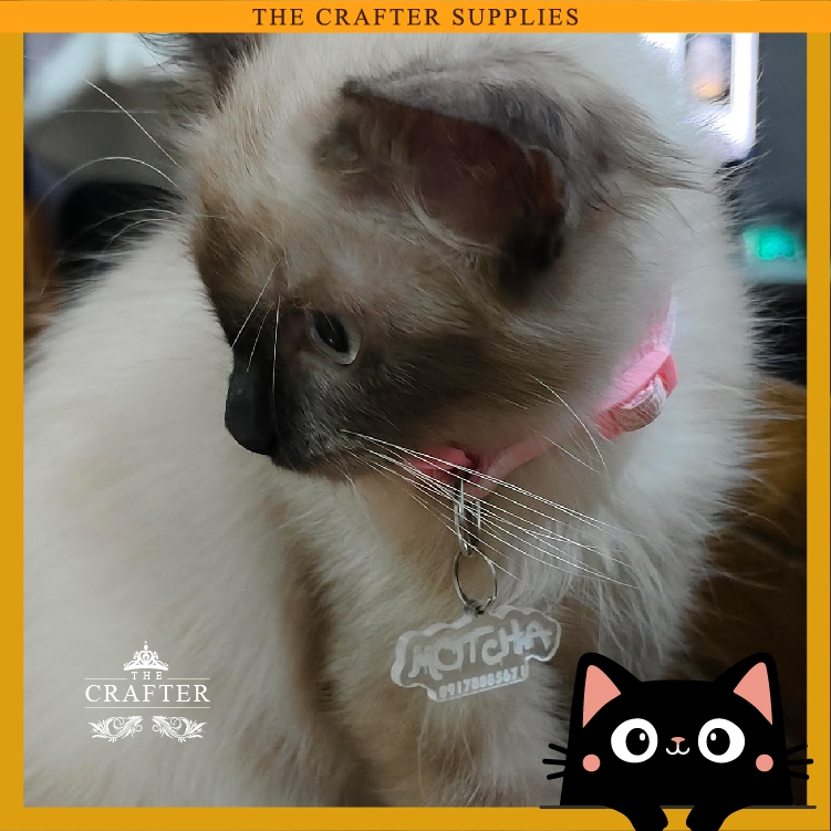 Customized Name tag for pet dog cat Light weight Acrylic name tag for ...