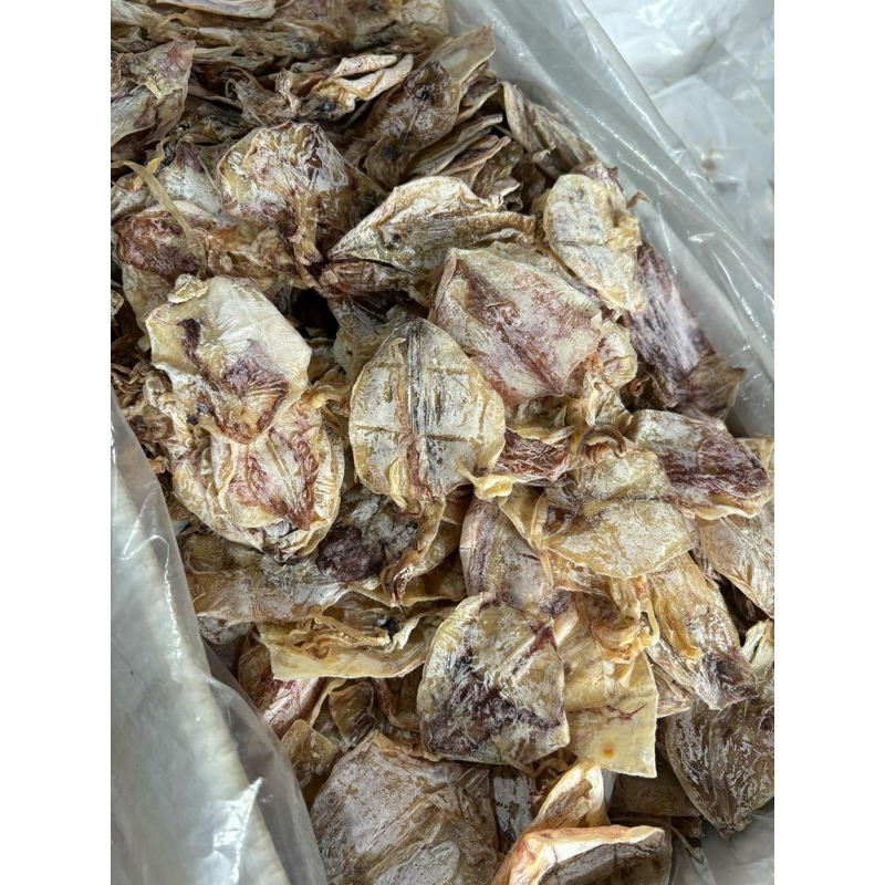 Dried Pusit Unsalted Fresh From Capiz/ Vacuum Sealed | Shopee Philippines