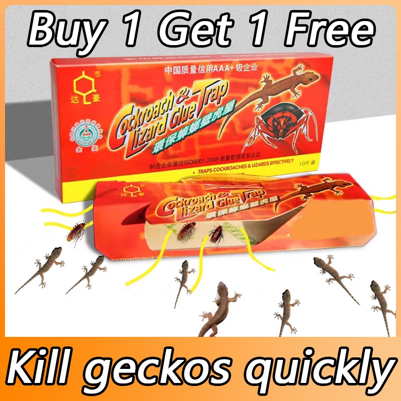 Buy 1 Get 1 Gecko Catcher gecko trap Lizard trap butiki trap lizard ...
