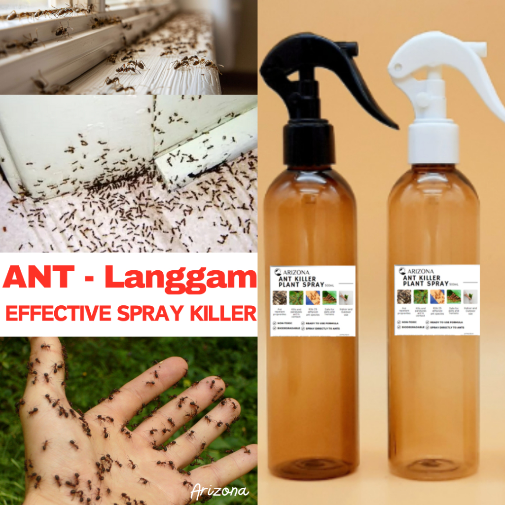 ARIZONA, Ant Killer Spray Kitchen Pest Control, Ants, Ant Spray, Ant ...