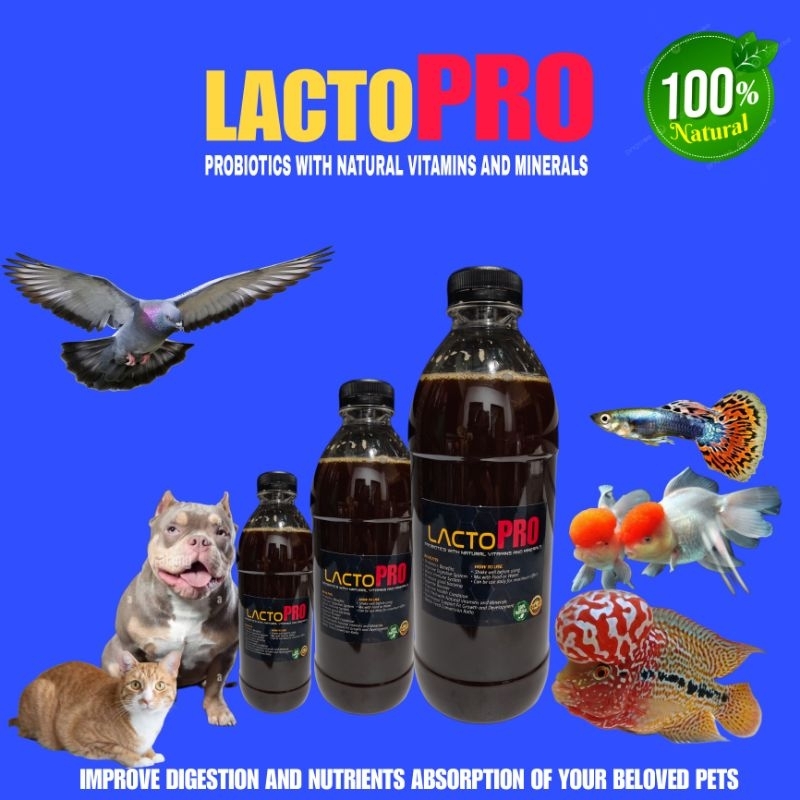 Lacto PRO Probiotics with Natural Vitamins and Minerals 300ML, 500ML and 1 Liter | Shopee ...