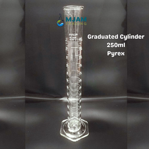 Pyrex Graduated Cylinder 250ml, Laboratory Glassware | Shopee Philippines