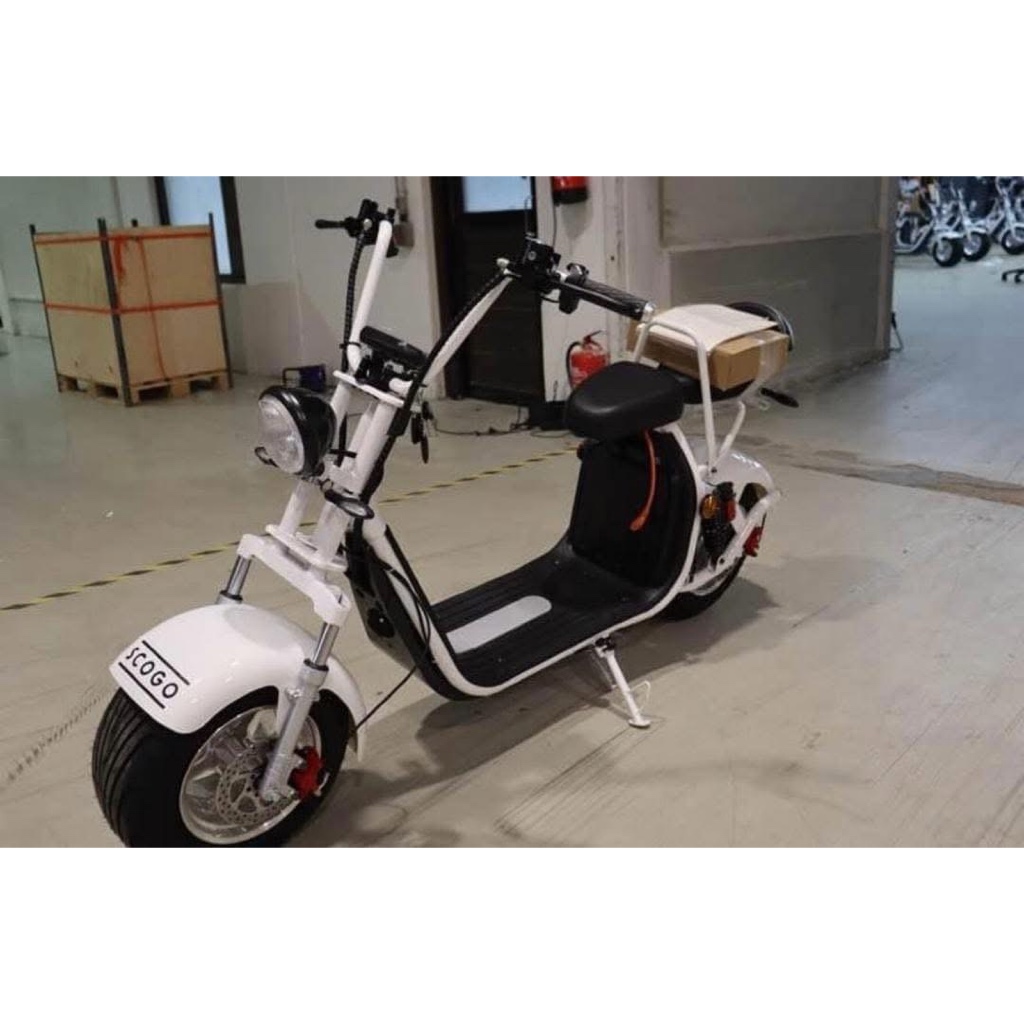 Brand new Electric Scooters V-L10 1000W Off-Road fast pro Electric ...