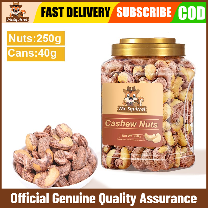 Mr. Squirrel Snack 250g Premium Cashew Nuts Roasted Kasoy Nuts Roasted ...