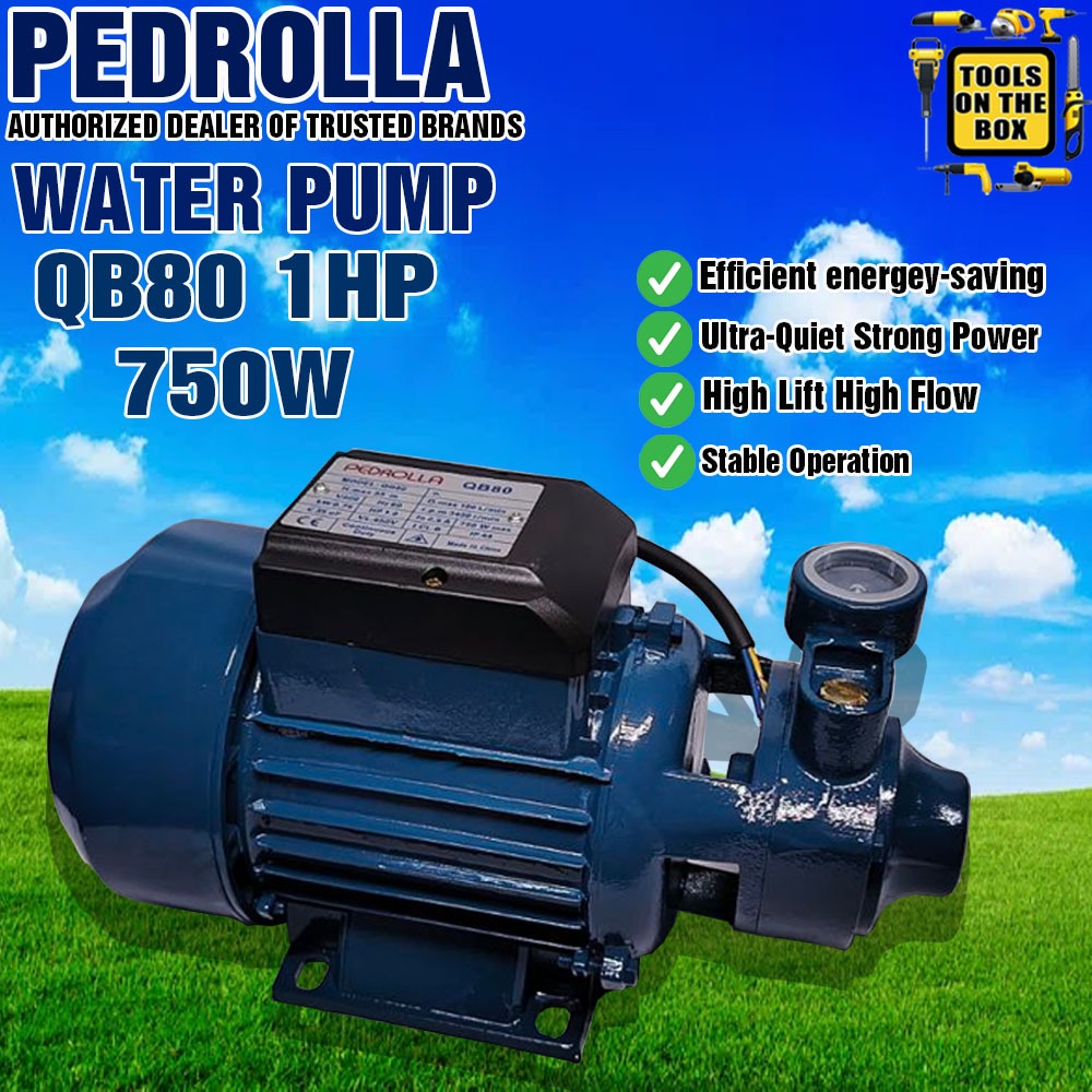 Pedrolla Italy 220V 750W Heavy Duty Electric Water Pump 1.0HP ...