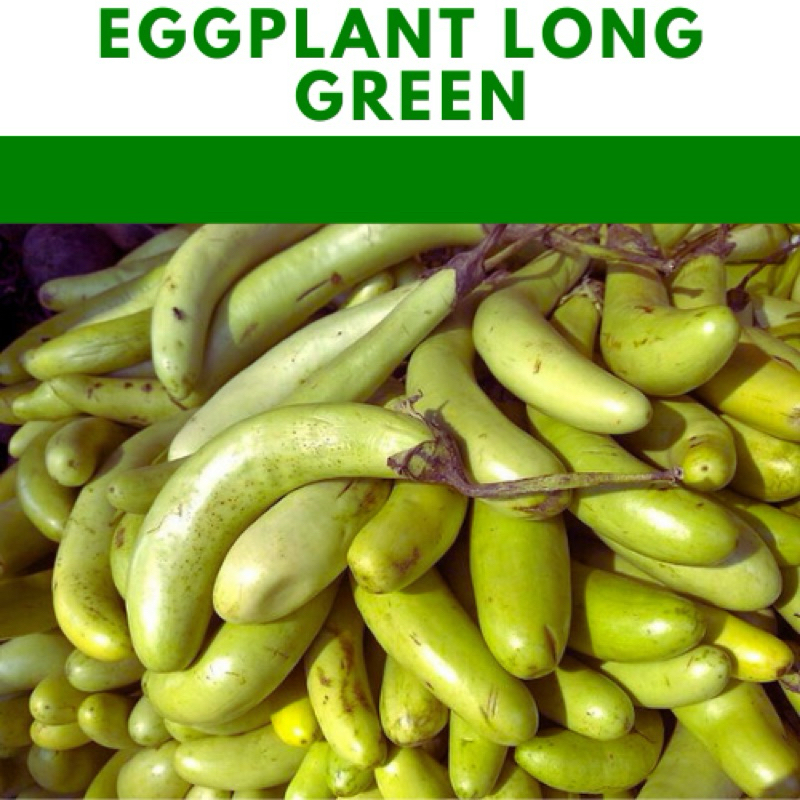 EGGPLANT LONG GREEN repacked seeds | Shopee Philippines