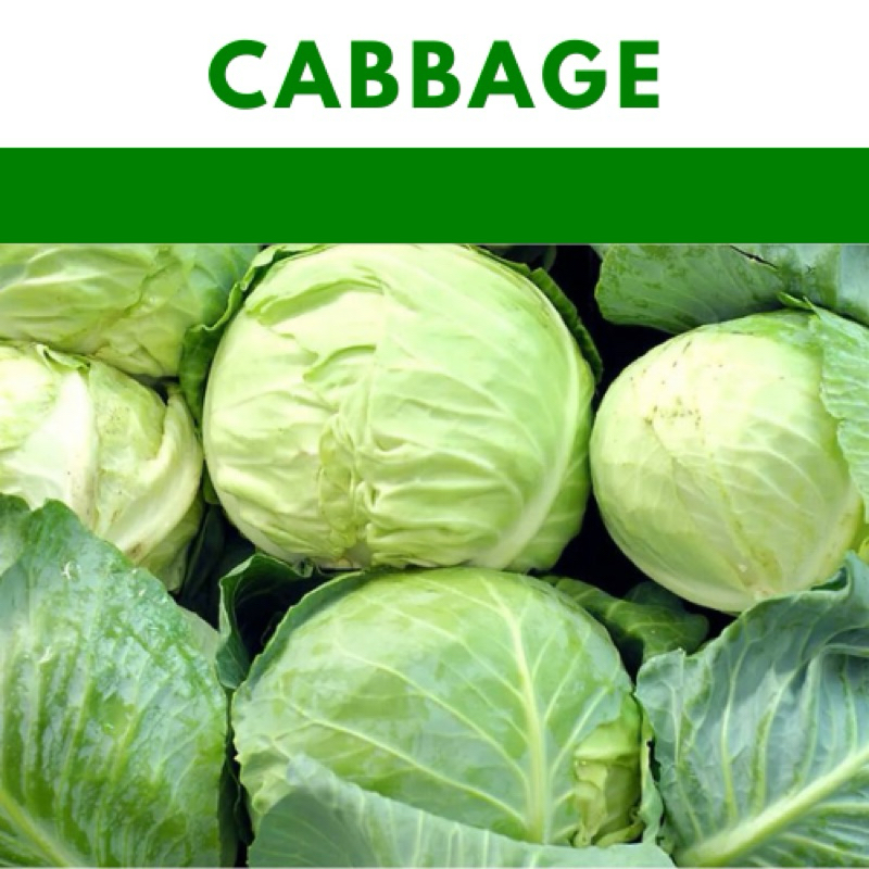 REPOLYO/ Cabbage vegetable repacked seeds gardening | Shopee Philippines