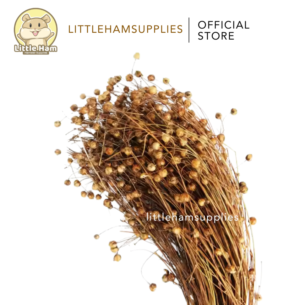 Flax Spray Hamster Treats 15g | Shopee Philippines