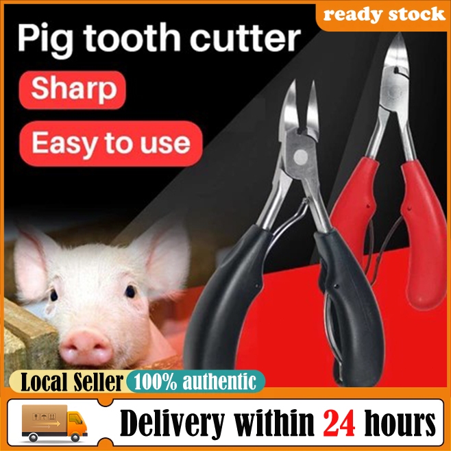 Pig Tooth Nipper Stainless Steel Teeth Cutter Piglet Broken Tooth ...